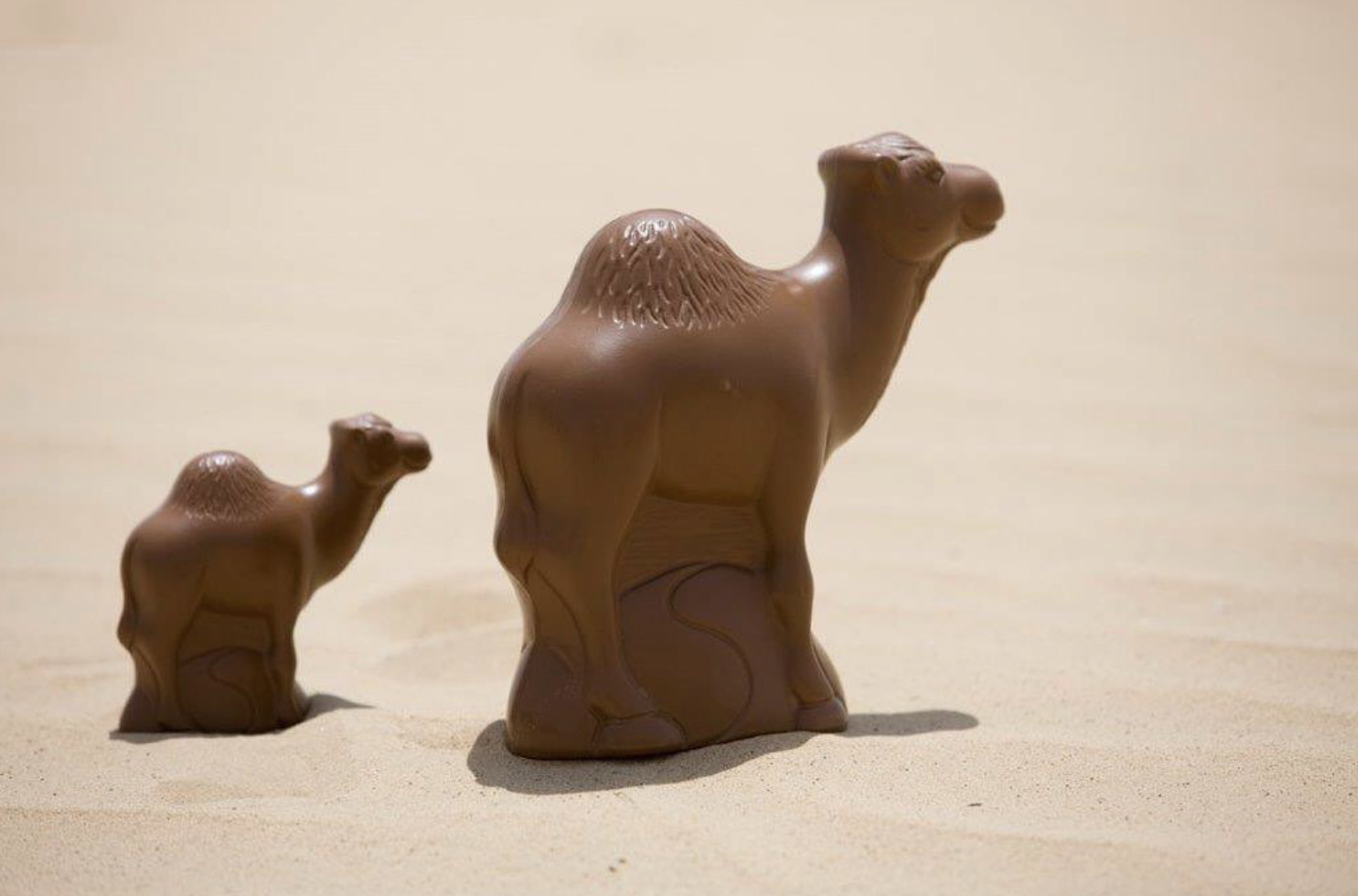 You Can Buy Camel Milk Chocolate In Downtown Dubai – Strictly Downtown ...
